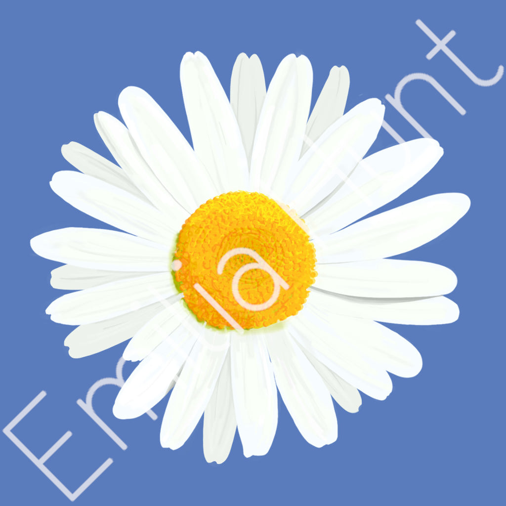 Daisy – Emilia Hunt