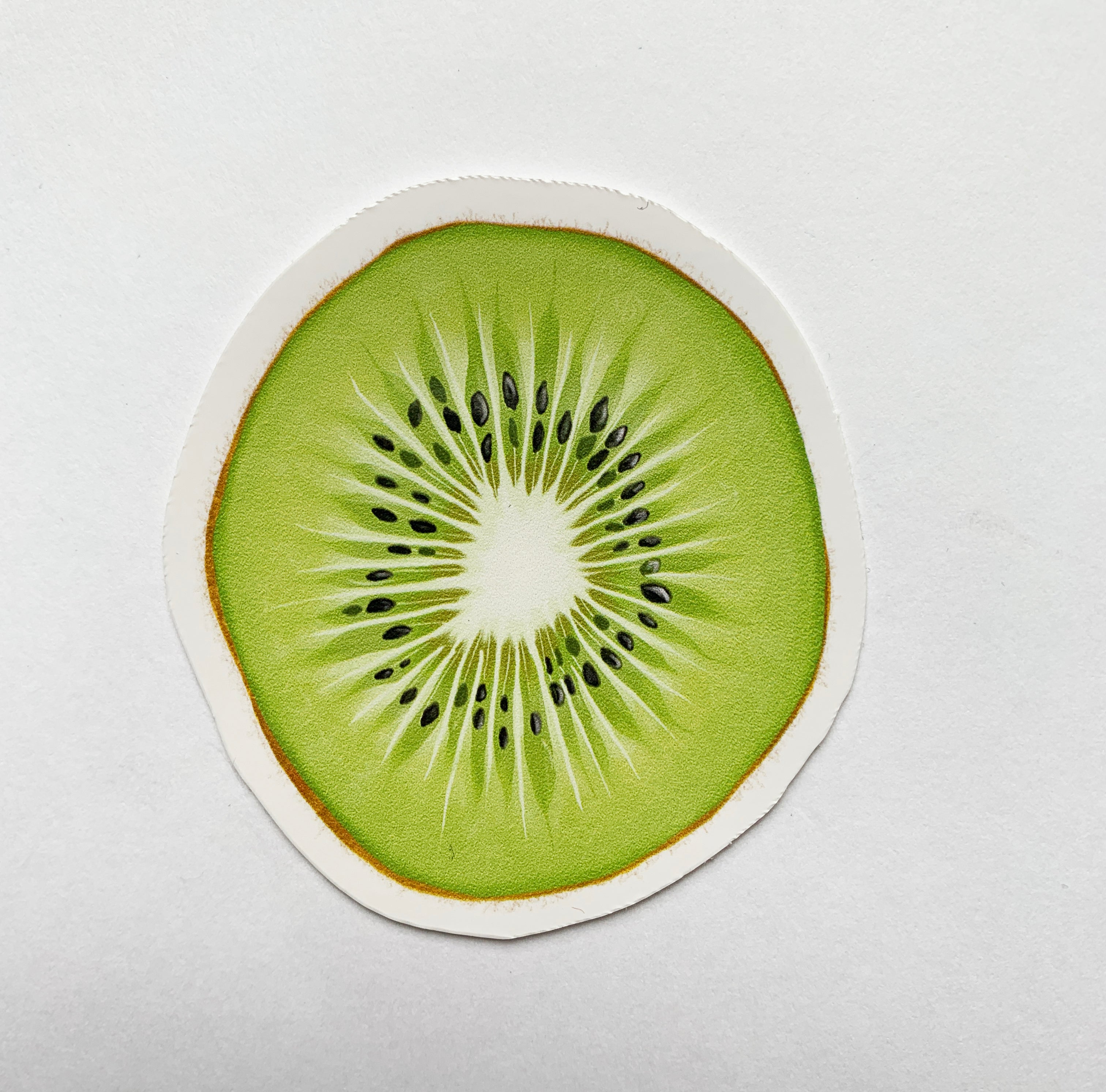 Kiwi sticker – Emilia Hunt